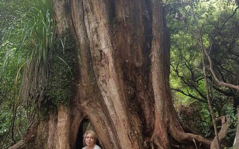 Kaitoke Regional Park | Freedom/Basic Camp | New Zealand